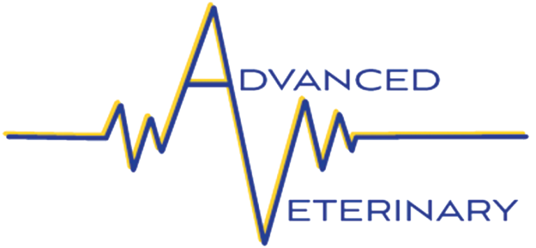 Advanced Veterinary - Bonita Springs Animal Clinic & Pet Surgery